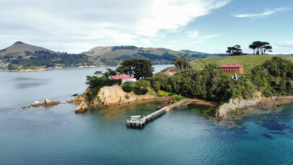 Quarantine Island/Kamau Taurua Tour | Southern Heritage Trust