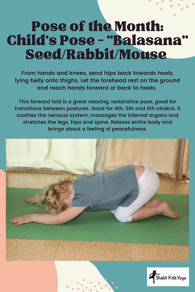 January Pose of the Month: Child's Pose "Balasana" Seed/Rabbit/Mouse