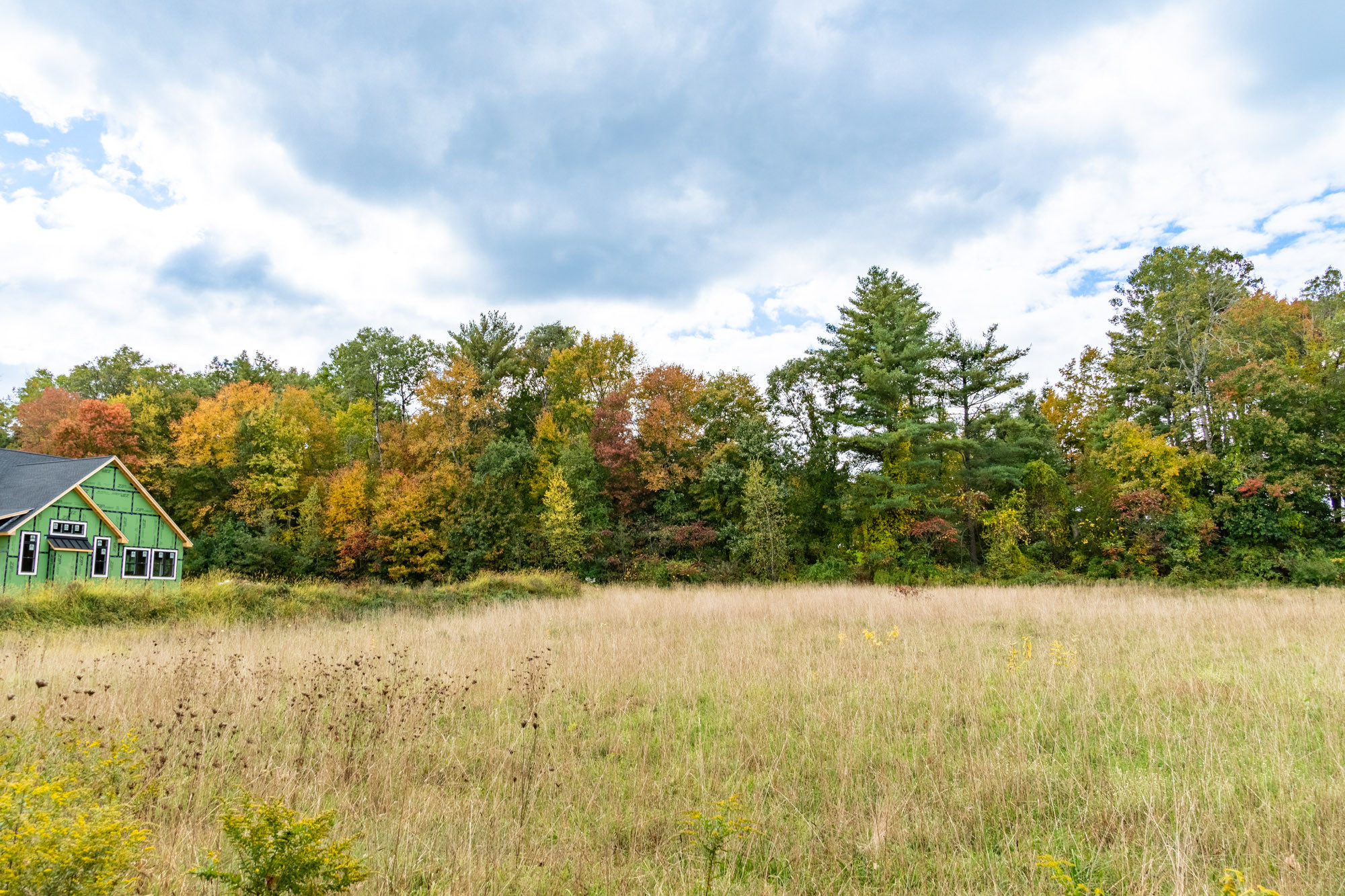 Meadows 6, Belchertown