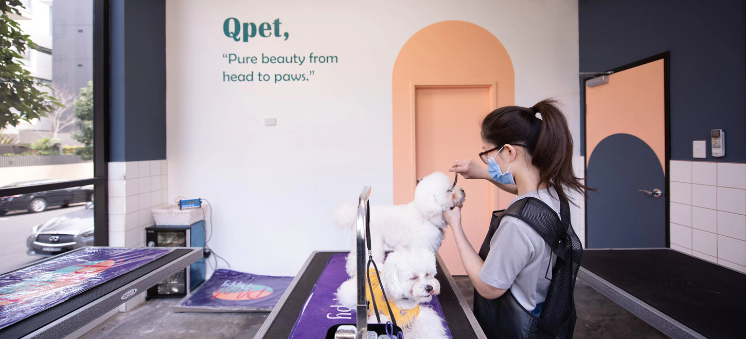 Home | Qpet