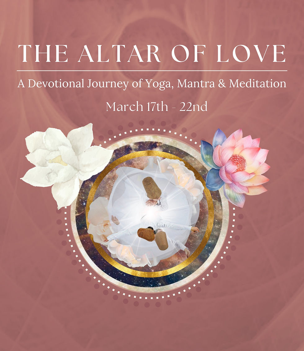 Conscious Community | Awake Uvita, Costa Rica