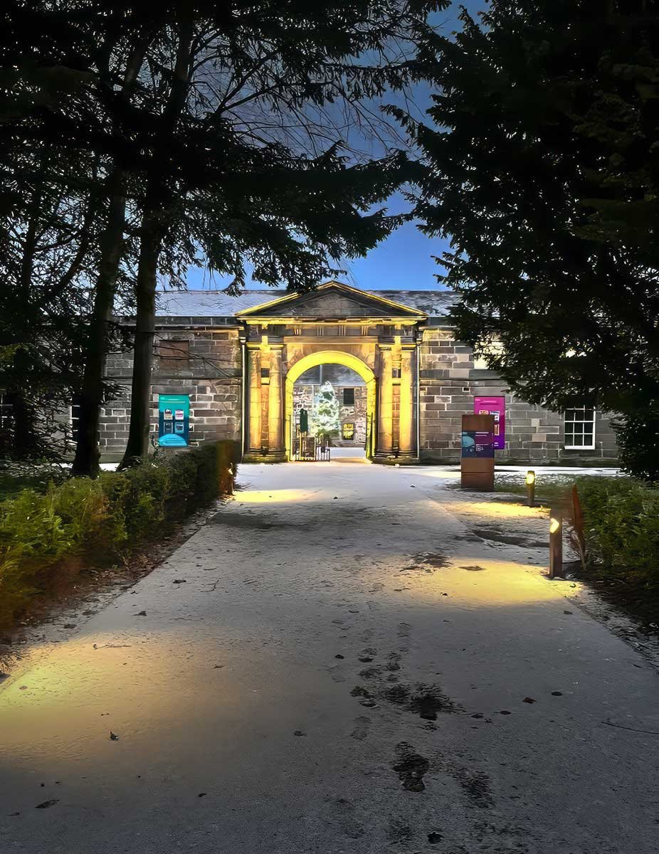 Tree of Light Newhailes House | SSCB