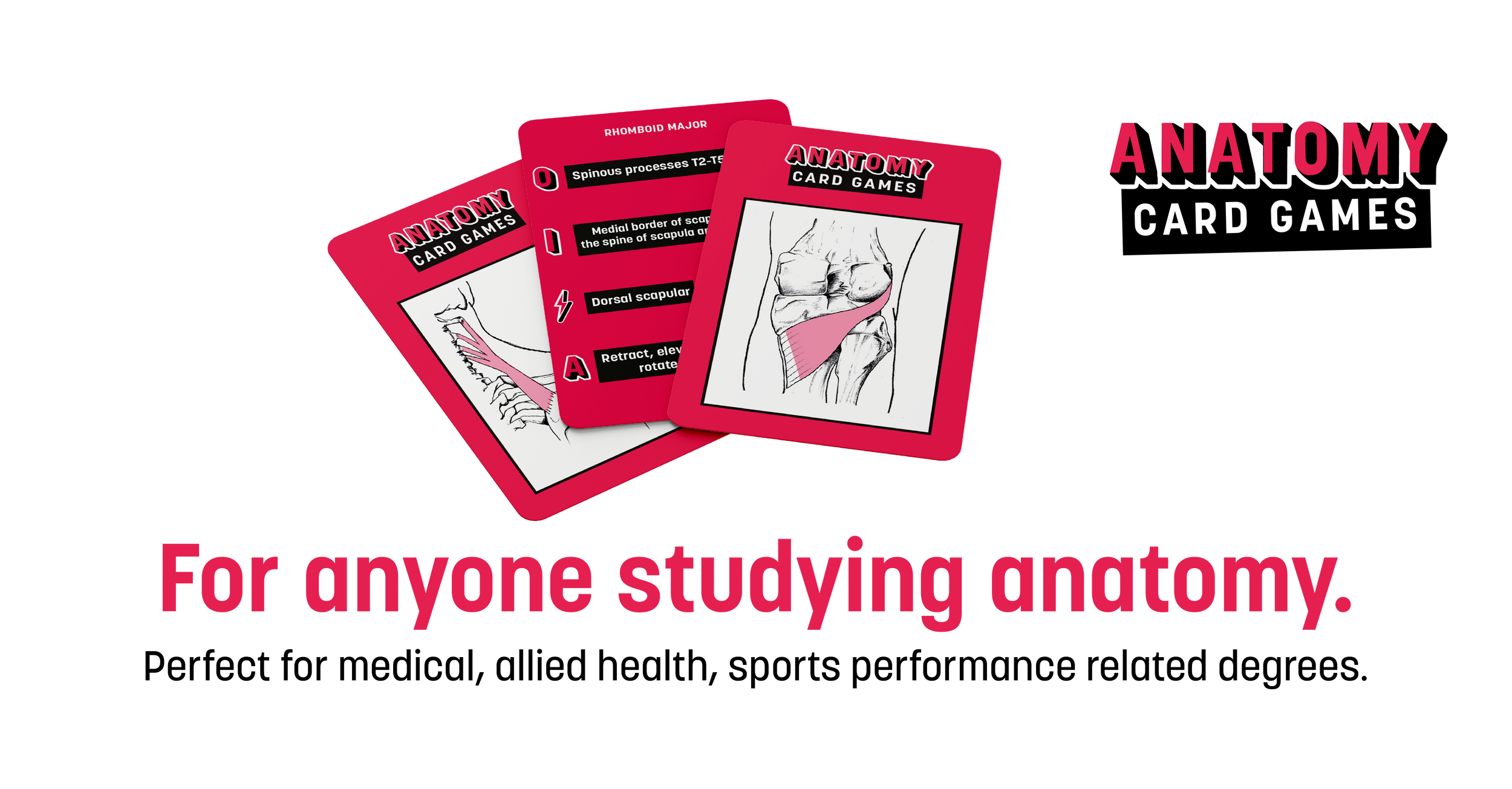 Blog | Anatomy Card Games