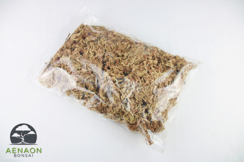 Σφάγνο 4L (Sphagnum moss) | Aenaon Bonsai