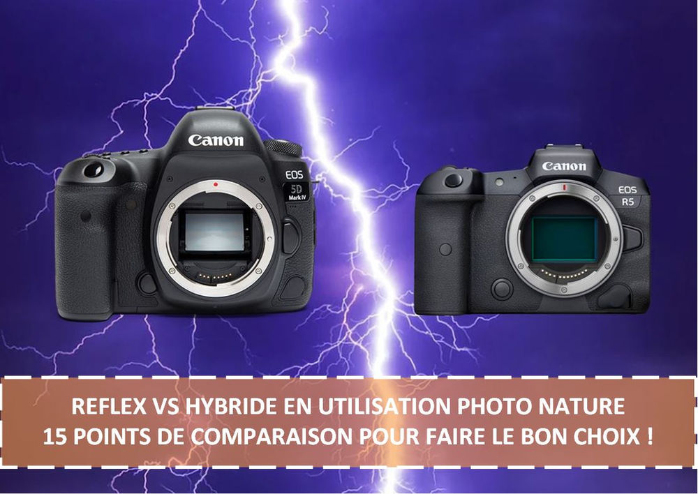 REFLEX VS HYBRIDE EN UTILISATION PHOTO NATURE - 15 POINTS DE ...