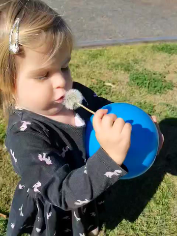 PLS activities that take little time but teach so much! | PLS Early ...
