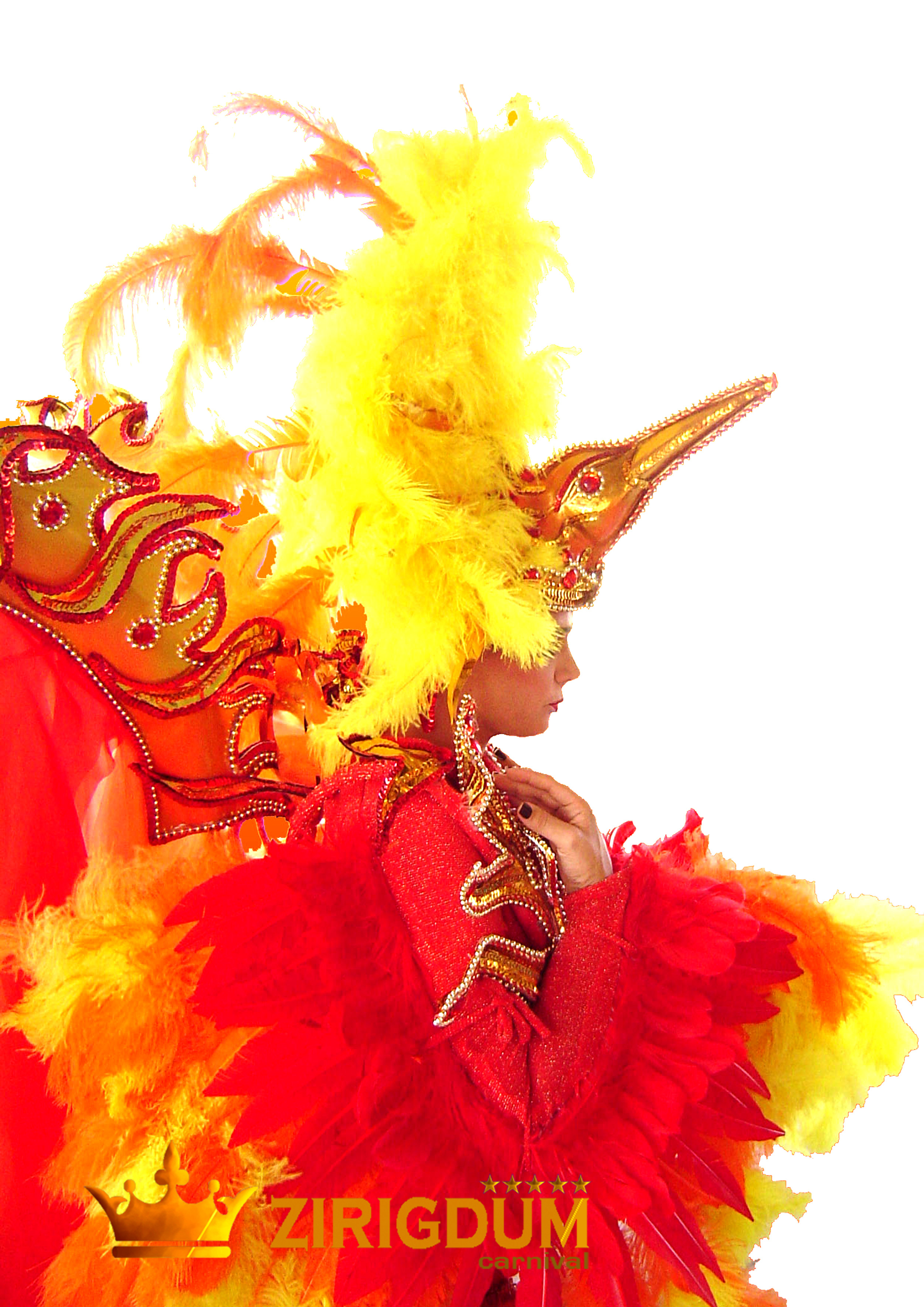 Phoenix costume, mardi gras outfits | Zirigdum Carnival Costumes