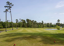 Golf | Grand Palms Resort