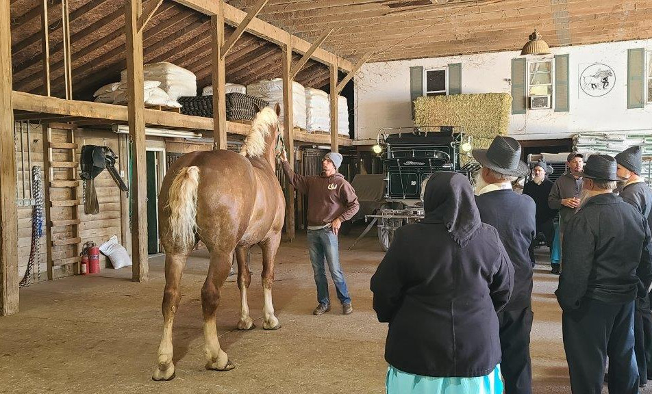 BELGIAN HORSE FARM TOUR | Sandusky County CVB
