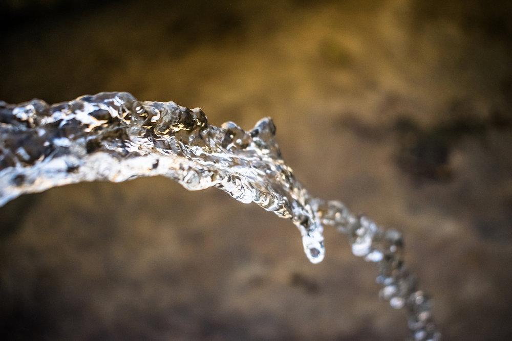 Understanding the USDA's New Guideline for Retained Water