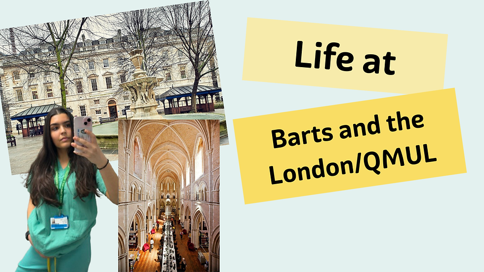 Research in Med School: What It Means and How to Get Started