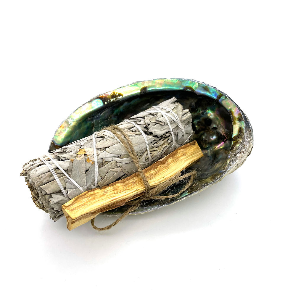 Shell Smudge Kit | TribalSoulSanctuary