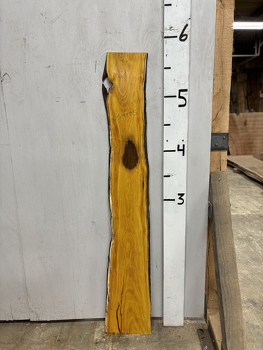 OS4005 Osage Orange Slab | Two Fellers