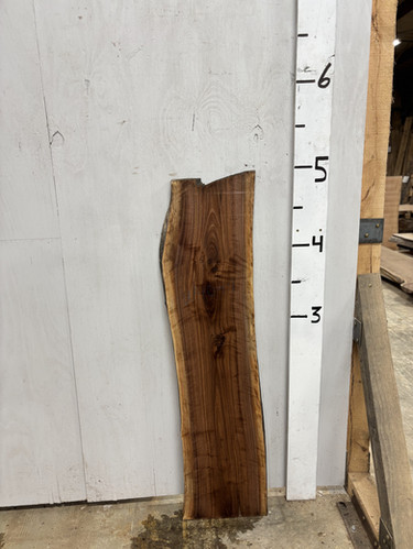 W4049 Walnut Slab | Two Fellers
