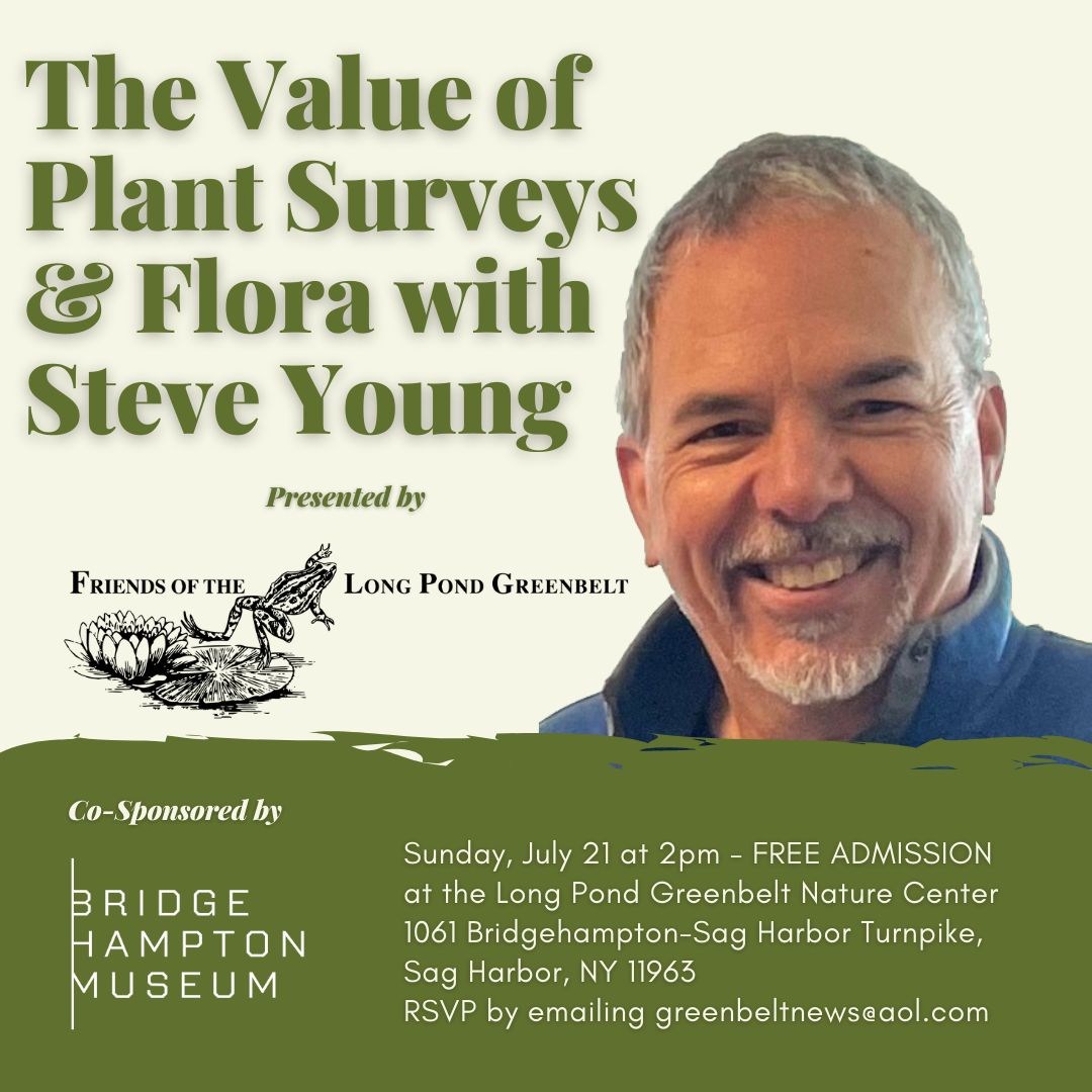 The Value of Plant Surveys & Flora with Steve Young | Bridgehampton Museum