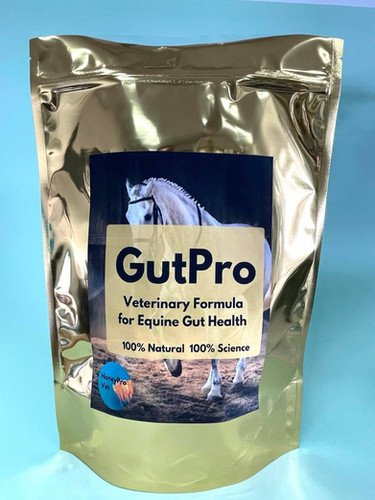 GUTPRO Equine Gut Health | HoneyPro Vet