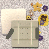 Microfleur max (9 X 9 inches) | Pressed-flowers