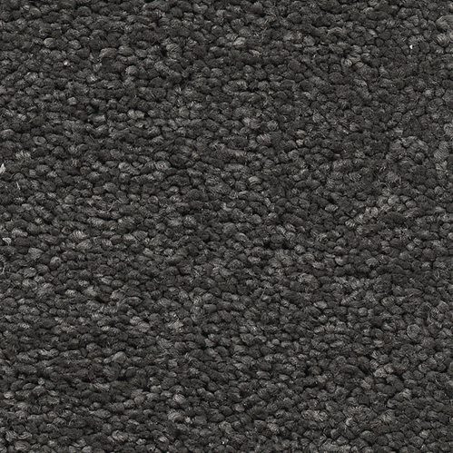 Belle -Brighton | Carpet City