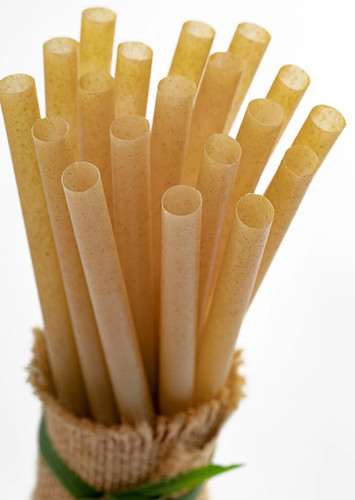Sugar Cane Straws 21cm x 8mm (5,000 per box) | orbiscoffee