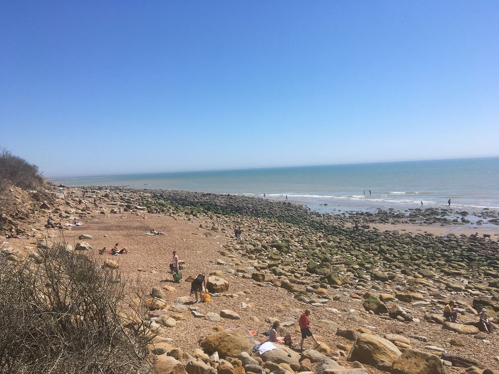 Beach Report - Fairlight Glen in East Sussex