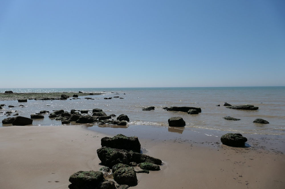 Beach Report - Fairlight Glen in East Sussex