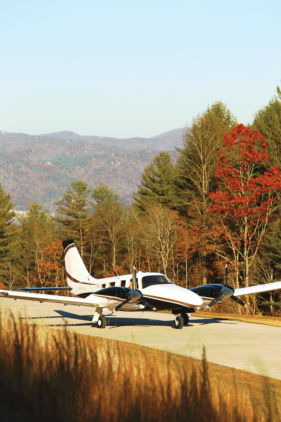 About the Piper Seneca V