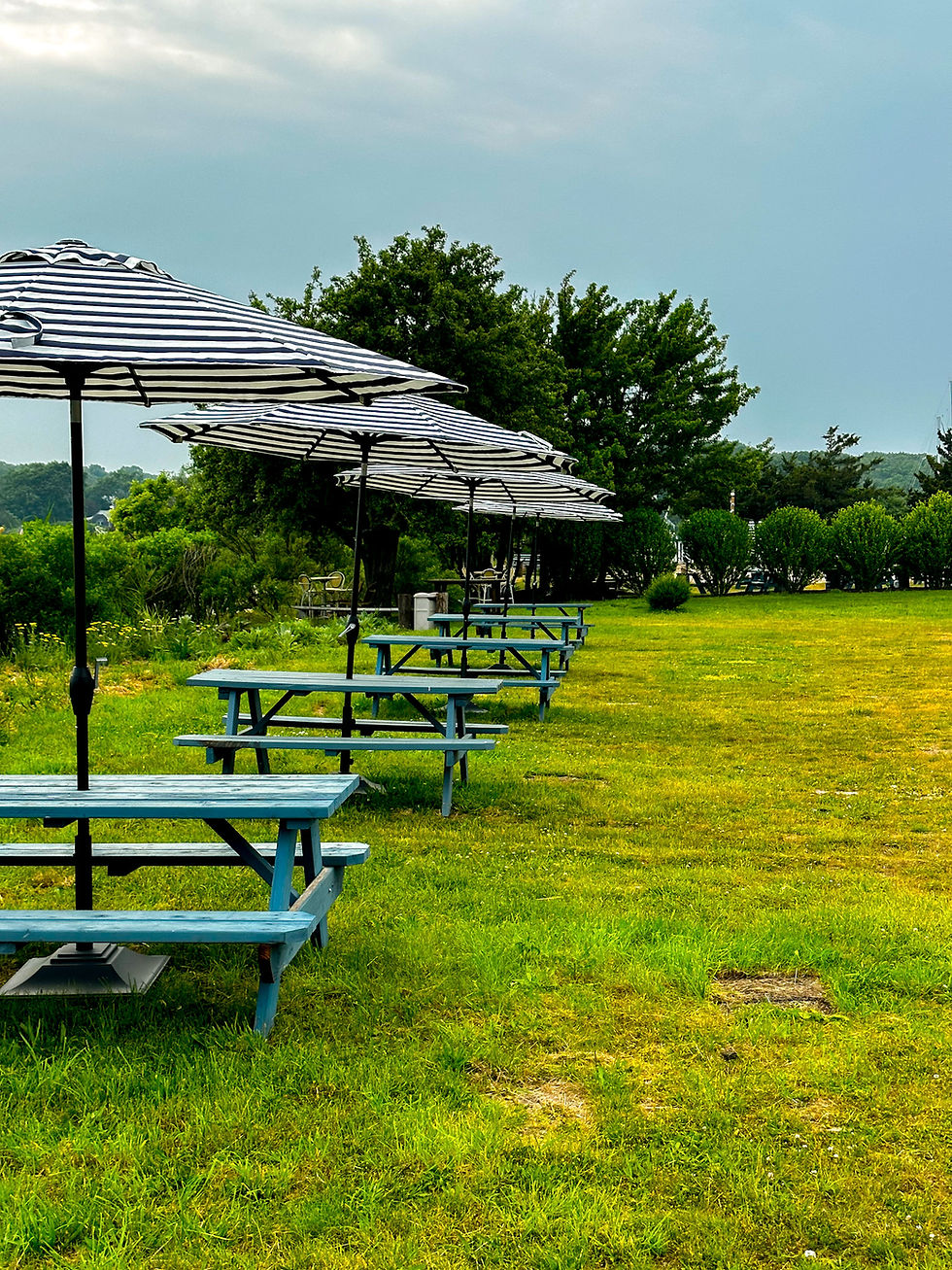 Marina | Brick Cove | New York