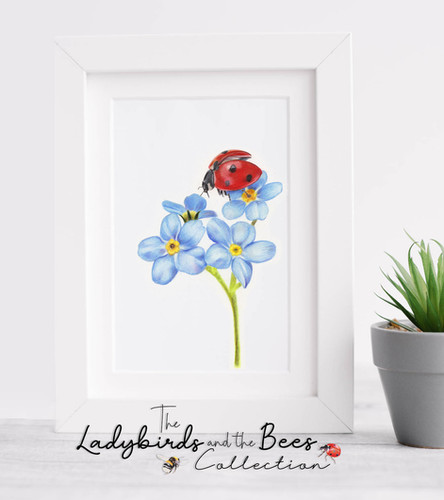 Lady Forget-me-not Fine Art Print | artbyrhia