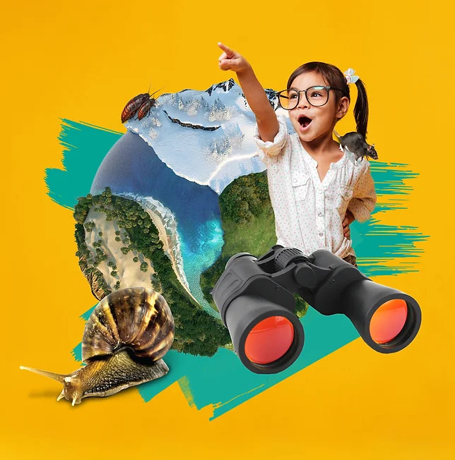 ZooLab Animal Hunt | Crail Community Hall | Crail Festival