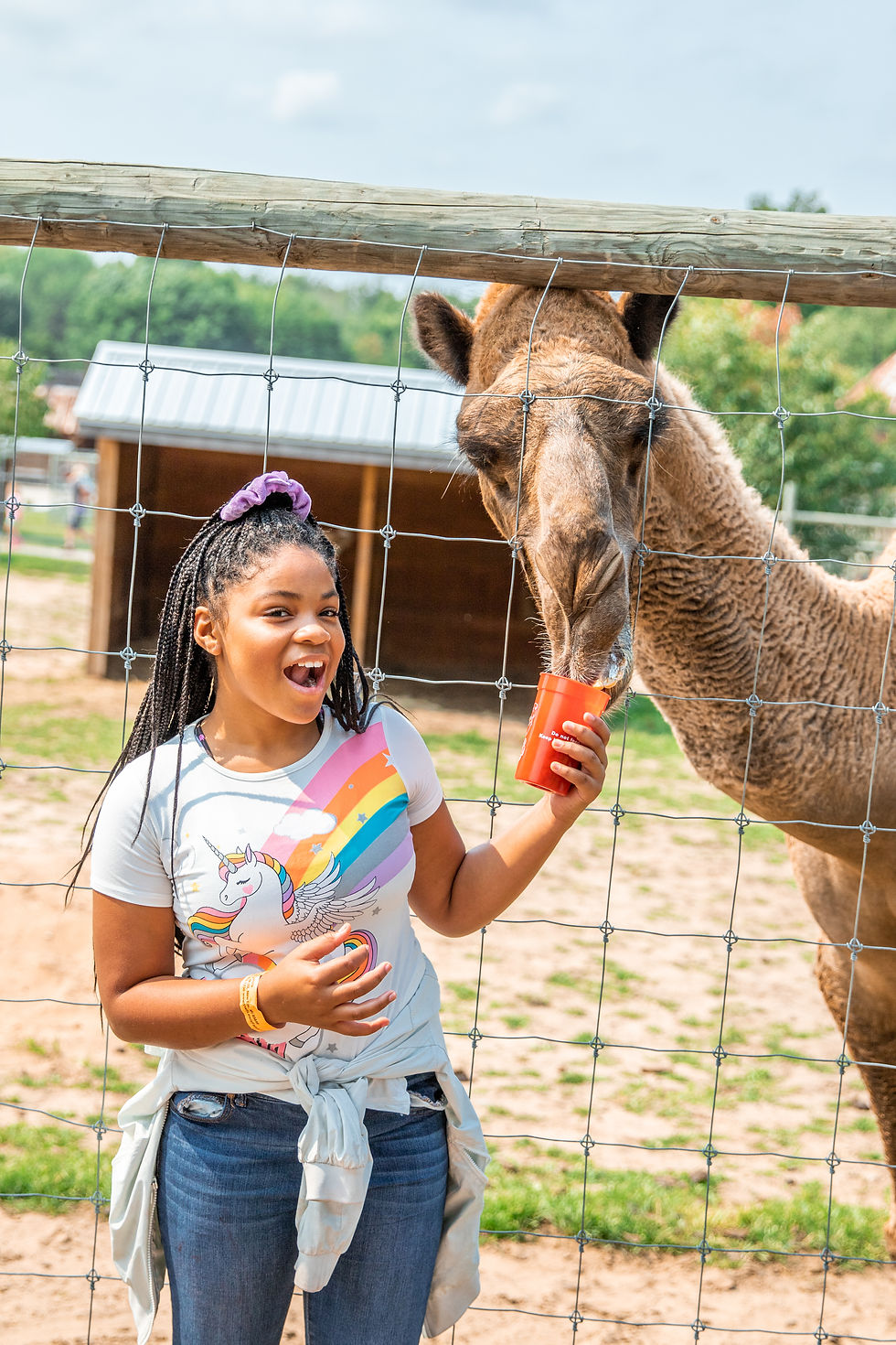 Lewis Adventure Farm & Zoo | New Era, MI | Home