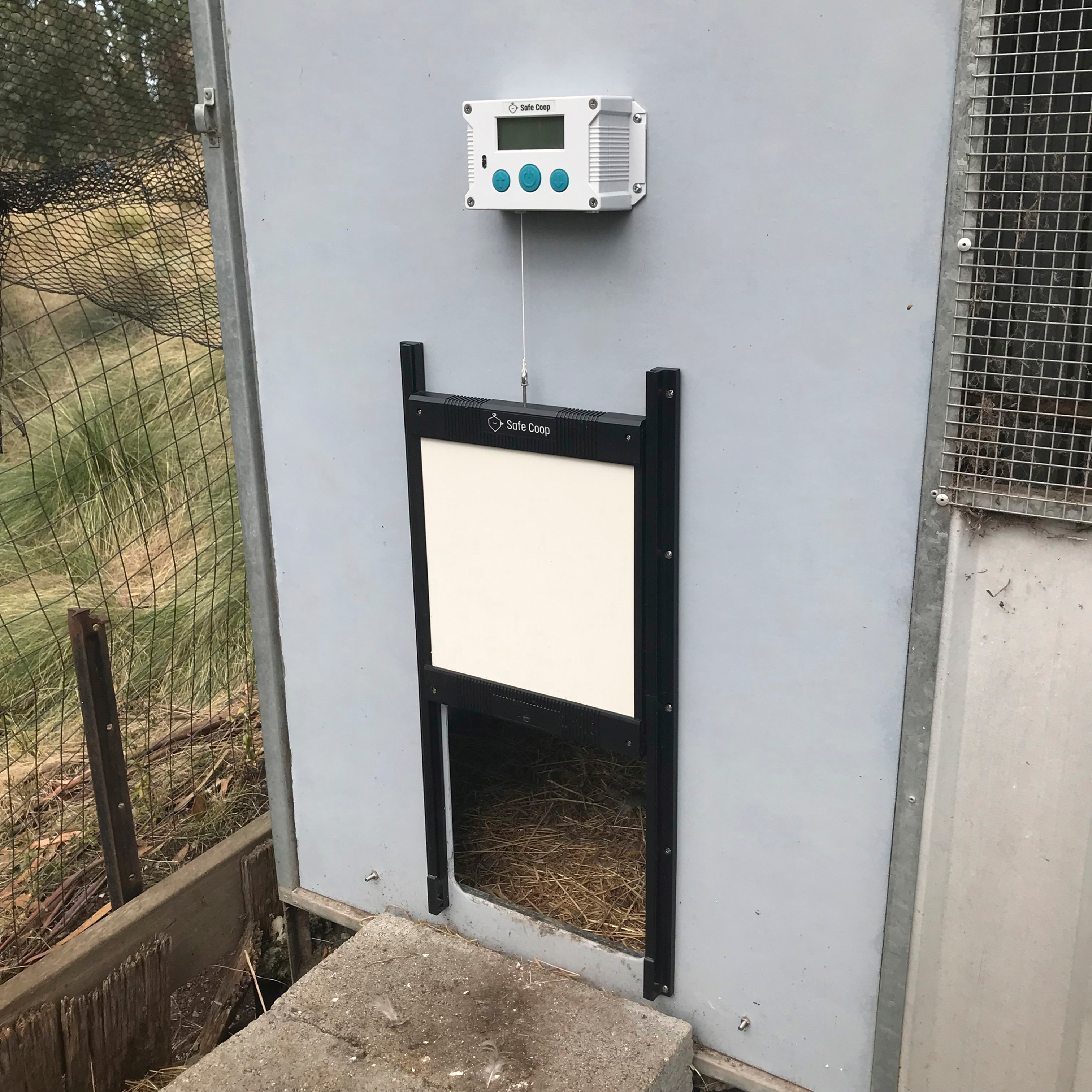 Automatic chicken coop door