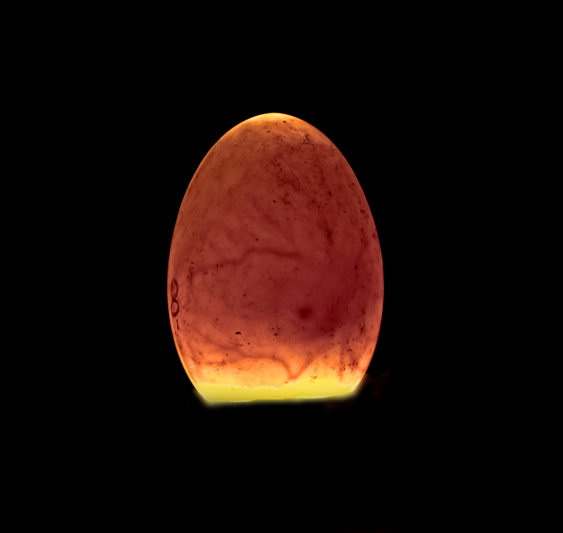 Egg Candlers For Sale -Poultry Australia