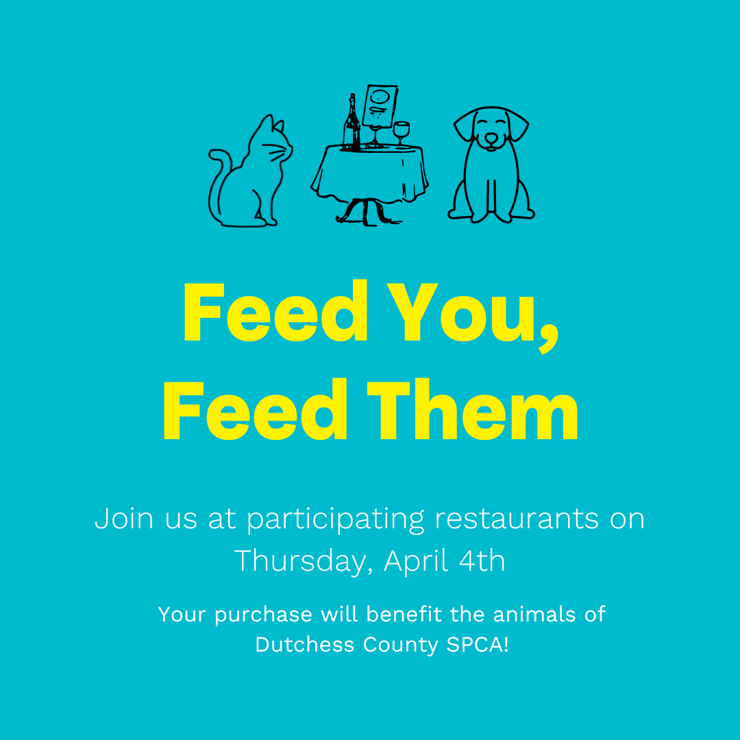 Feed You, Feed Them | Dutchess County SPCA