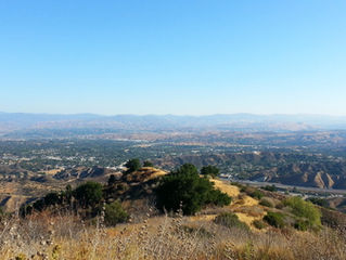 Narinder S. Grewal Update