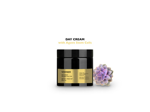Organic Day Cream SPF 25+ | Vooqo® Vegan, Non-Comedogenic Moisturizer