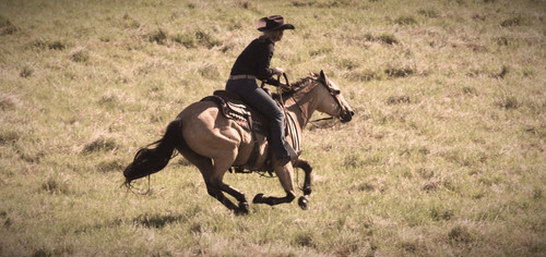 Range Rider Membership | Western Justice LF