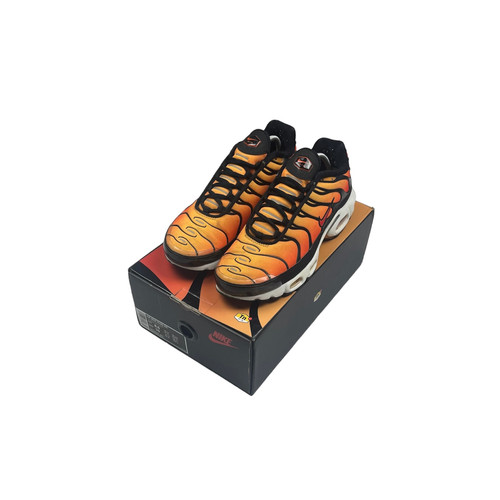 Nike OG Tiger TNs W/Box | Wobbly Garms