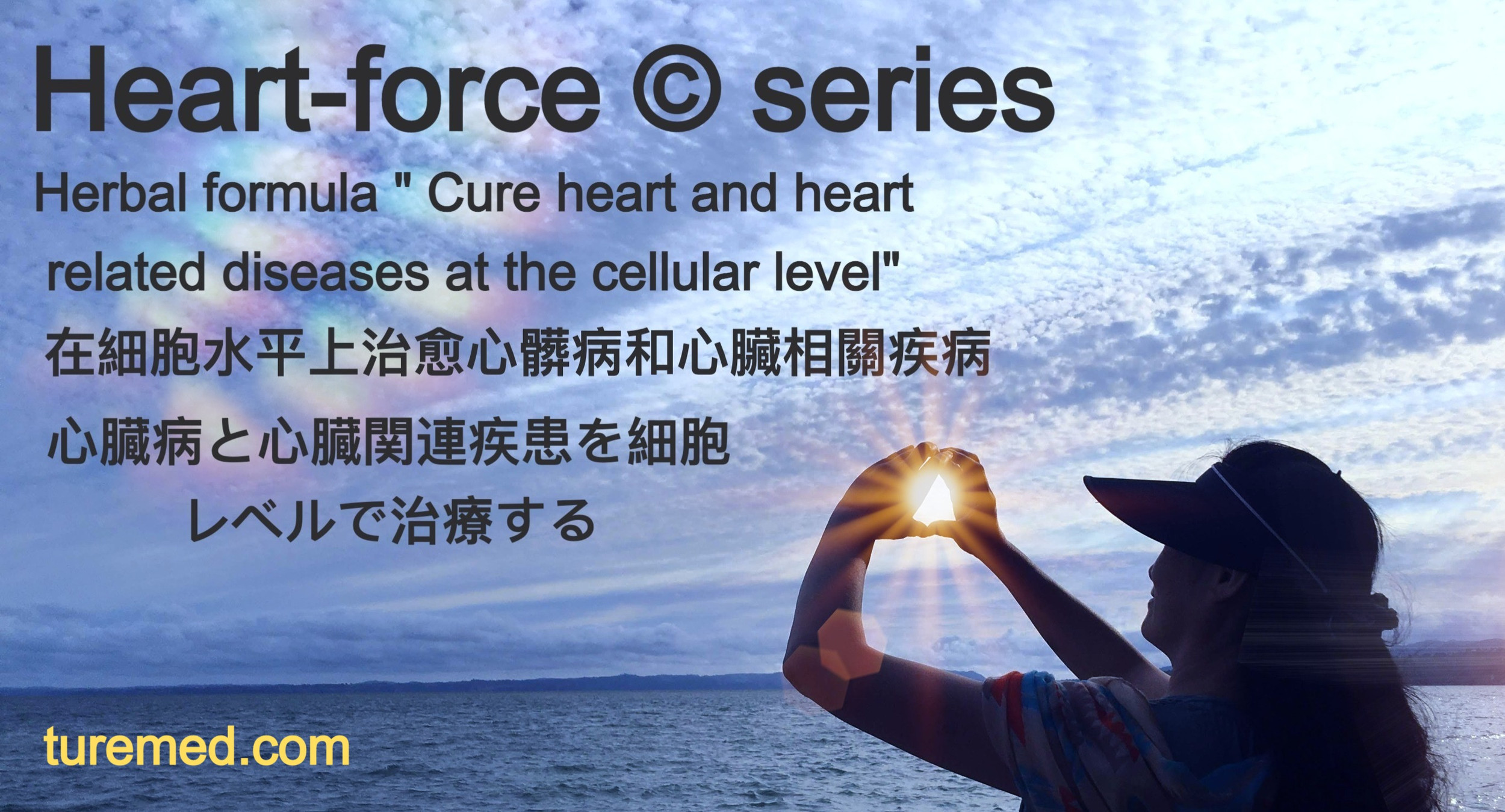 心脏病 糖尿病｜Auckland| Coronary Heart diseases | Heart-force herbs