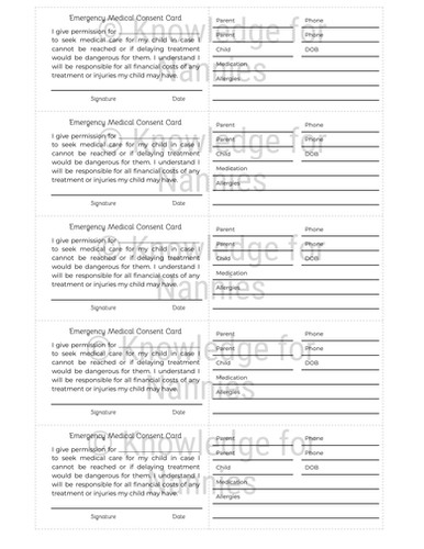 Printable Emergency Medical Consent Cards | KnowledgeforNannies