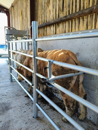 Anti Backing Bar | Compact Crush