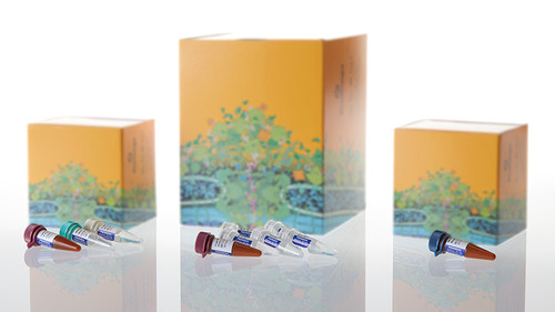 PowerPlex® Fusion | biodynamics