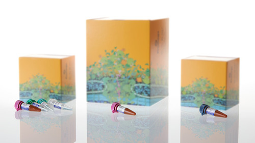 Versaplex 27 PY System | biodynamics