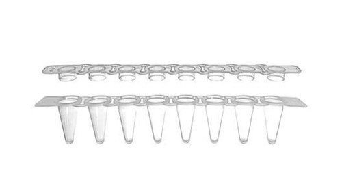 qPCR strip tubes and caps 0.1 mL x 8 - Transparentes | biodynamics