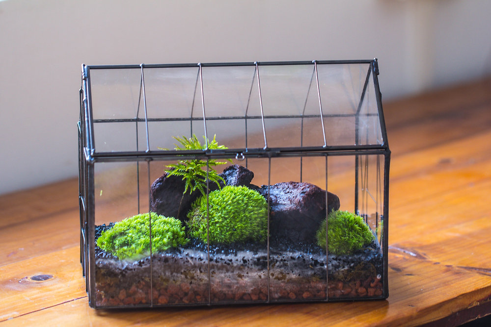 Various Zen style garden inspired terrarium ideas
