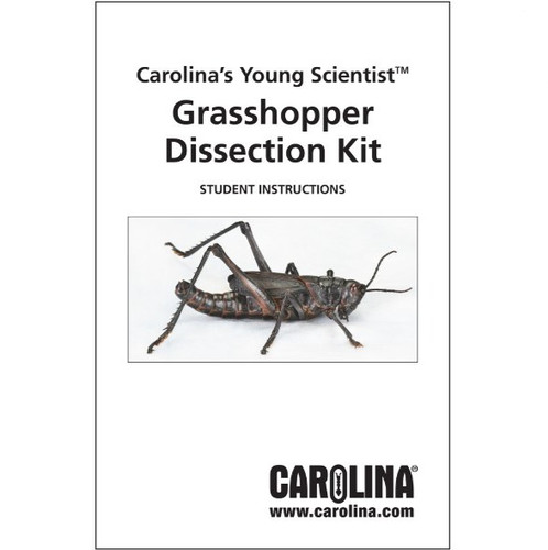 Grasshopper Dissection Digital Resources | Carolina Singapore