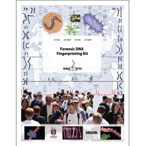 DNALC Forensic DNA Fingerprinting Digital Resources | Carolina Singapore
