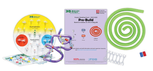 Science Olympiad Protein Modeling Event Pre-Build Kit and Amino Acid ...