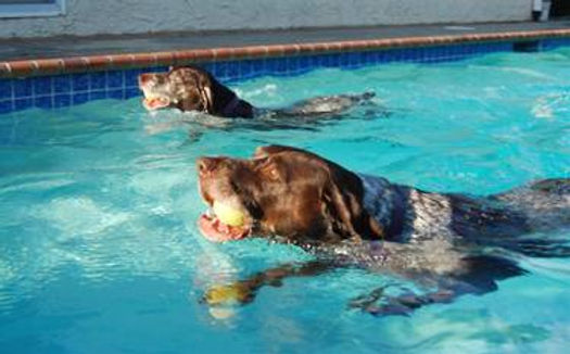 Drowning or Near: First Aid