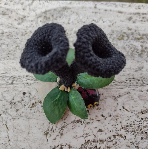 Trombette dei morti (Craterellus Cornupioides) | Ideaconarte