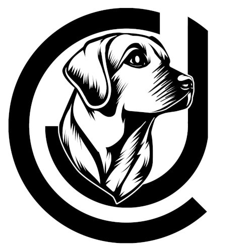 CJ Design PLLC | Architect | Charlotte, NC, USA